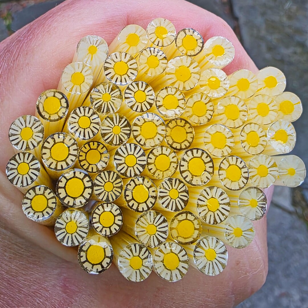COE 96 Murrini Flower: Fancy Daisy - 1 Oz Cane/sticks - Etsy