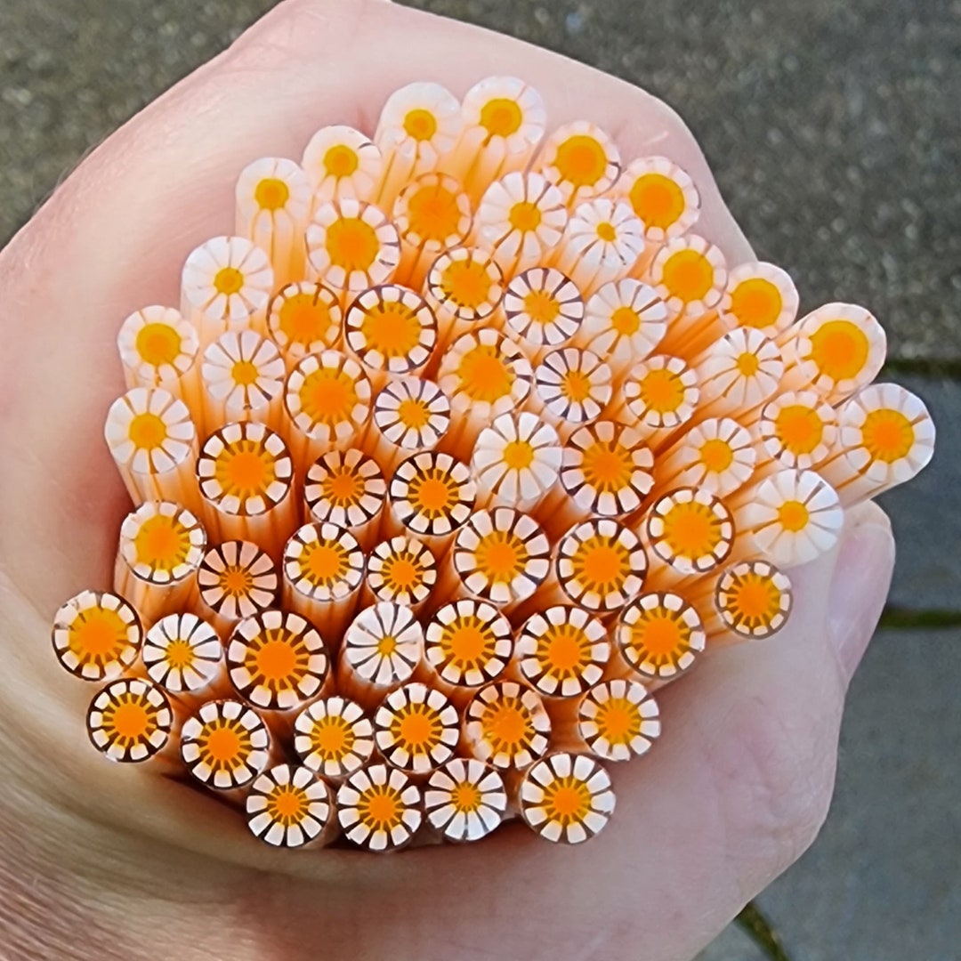 Coe 90 Flower: Tangy Orange Tart - 1 Oz Murrini Murrine Millefiori ...