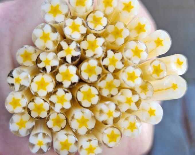 Coe 90 Flower: Mai Tai - 1 Oz Murrini Murrine Millefiori Vitrigraph ...