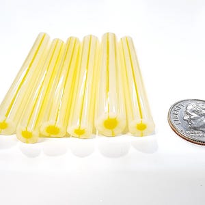 Coe 96 Flower: Favorite Daisy - 1 Oz Murrini Murrine Millefiori ...