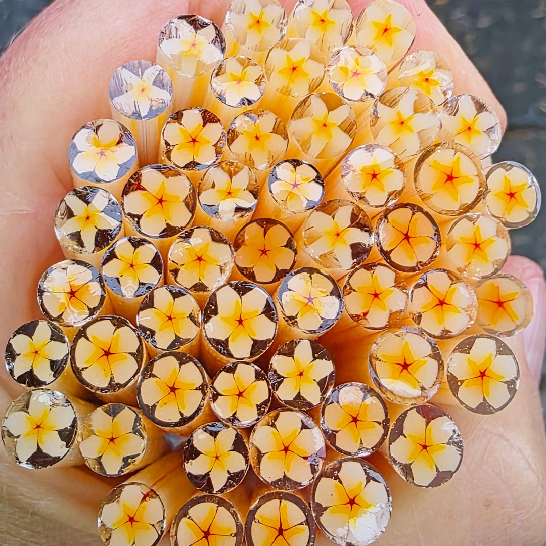 COE 96 Murrini Flower: Pretty Plumeria - 1 Oz Cane/sticks - Etsy