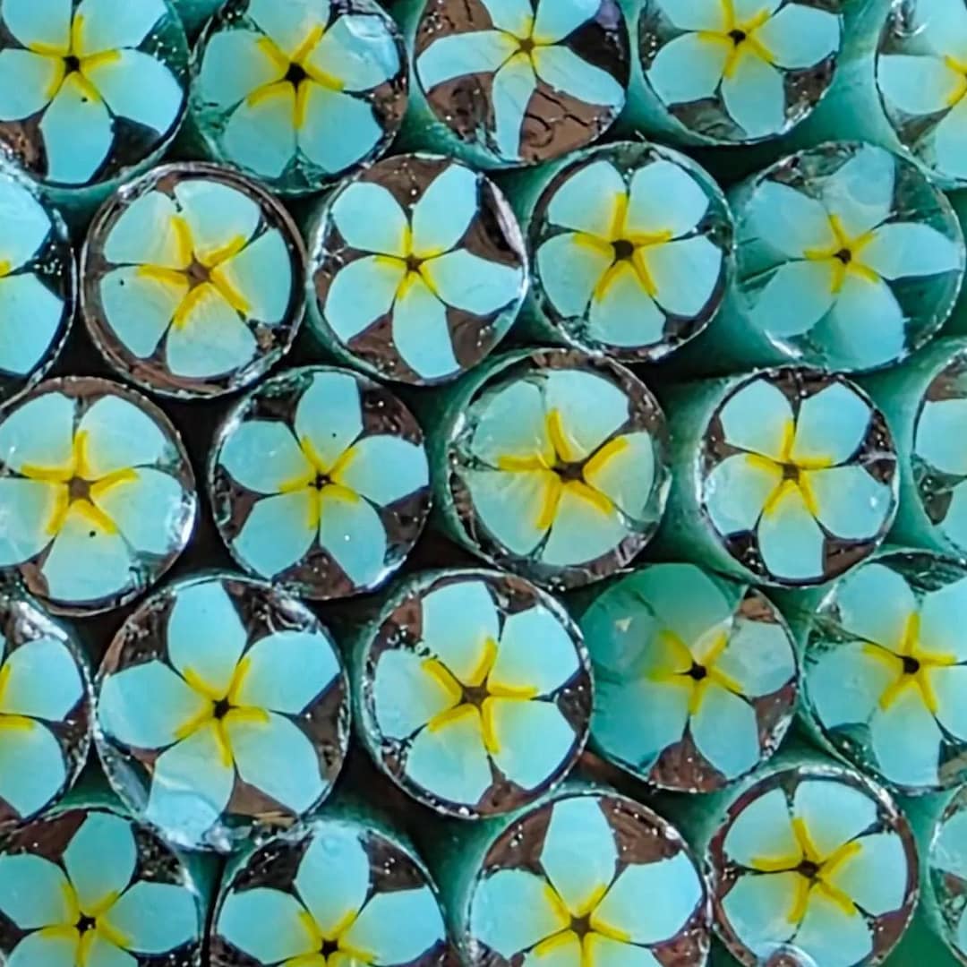 COE 90 Handmade Flower Murrini "making Waves" | 1 Oz Cane | Bullseye ...
