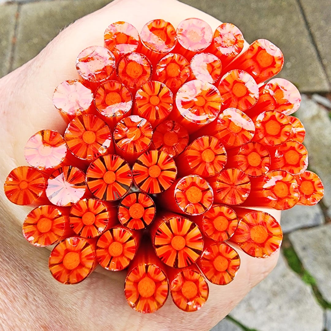 Coe 96 Flower: Persimmon - 1 Oz Murrini Murrine Millefiori Vitrigraph ...