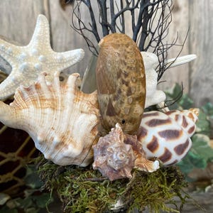 Sea Shell Bouquet in a Silver Vase/coastal Elegance/ocean Inspired ...