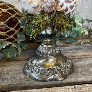 Sea Shell Bouquet in a Silver Vase/coastal Elegance/ocean Inspired ...