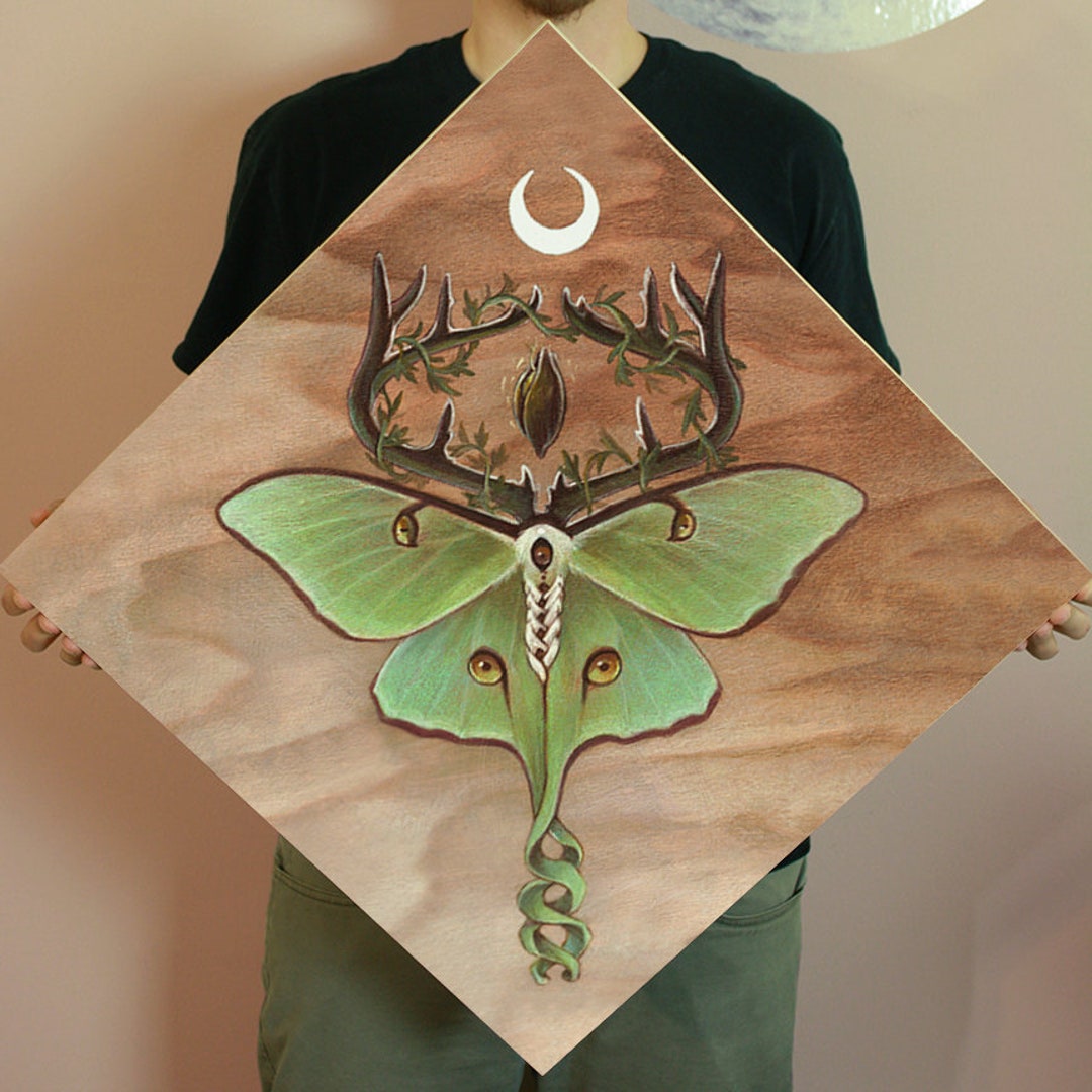 Ancestor Moth 20x20 Fine Art Giclee Print on Wood - Etsy