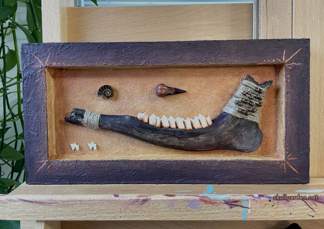 Deer Jaw Box - Etsy