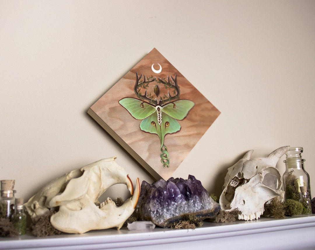 Ancestor Moth 6x6 Fine Art Giclee Print on Wood - Etsy