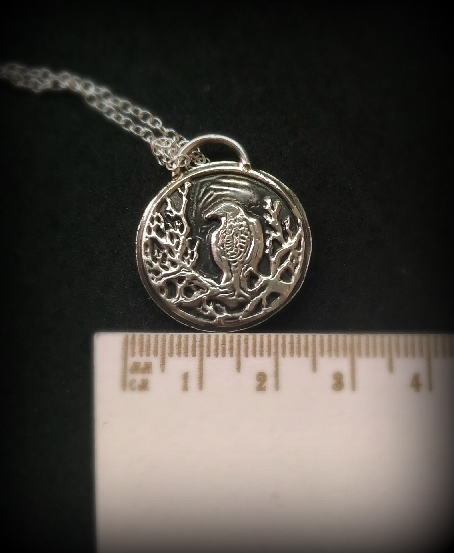 Raven Wax Seal Necklace Crow Wax Seal Necklace Crow Silver | Etsy