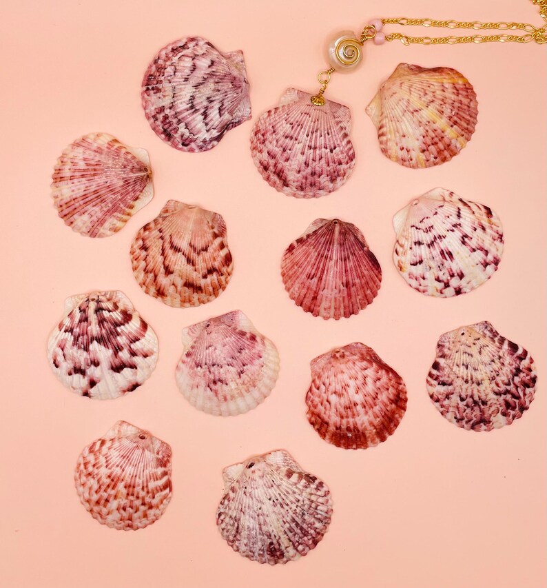 Maritime Muse - Pearlized Spiral and Pink Scallop Shell Pendant ...