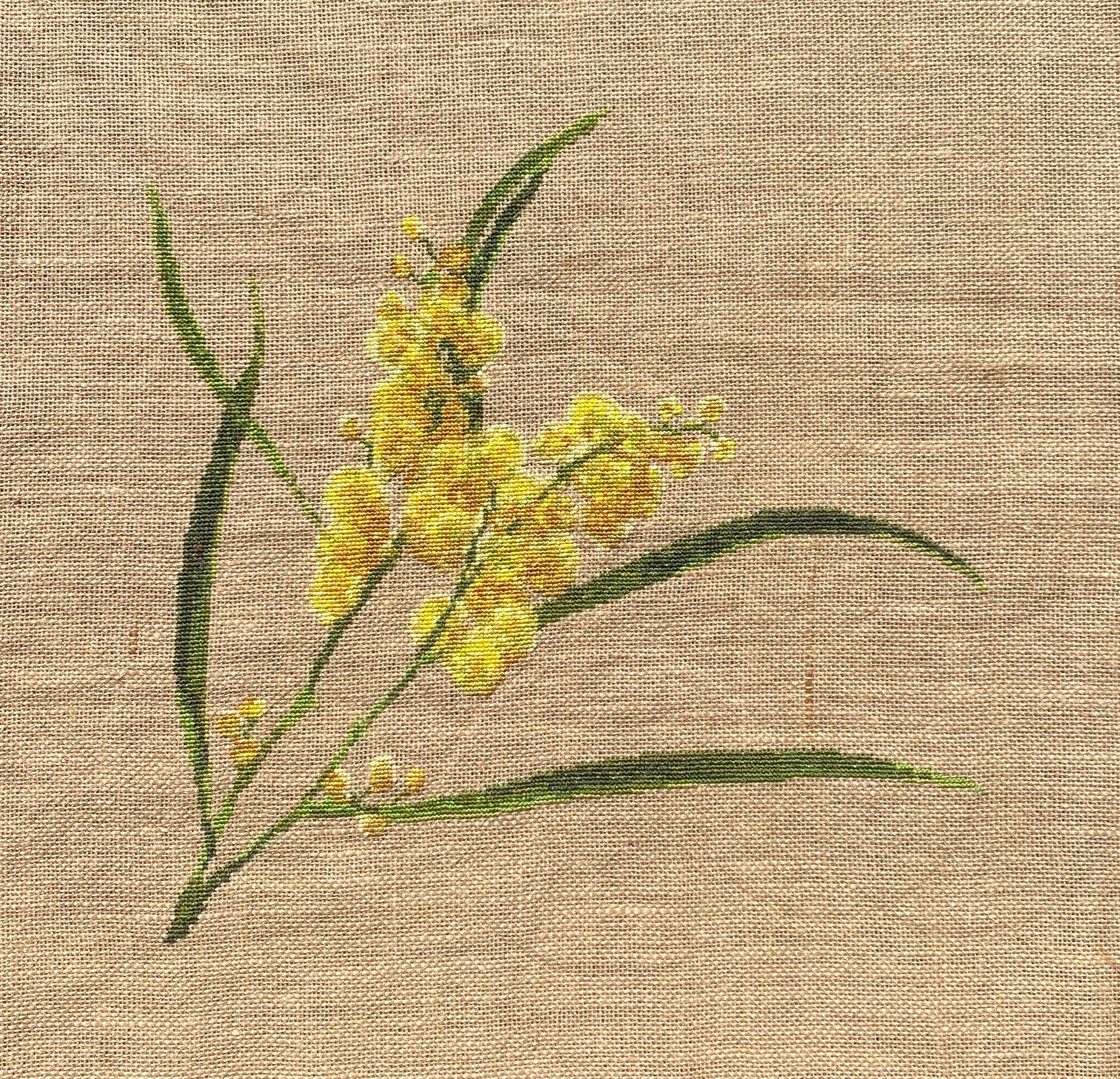 Cross Stitch Kit WATTLE - Etsy