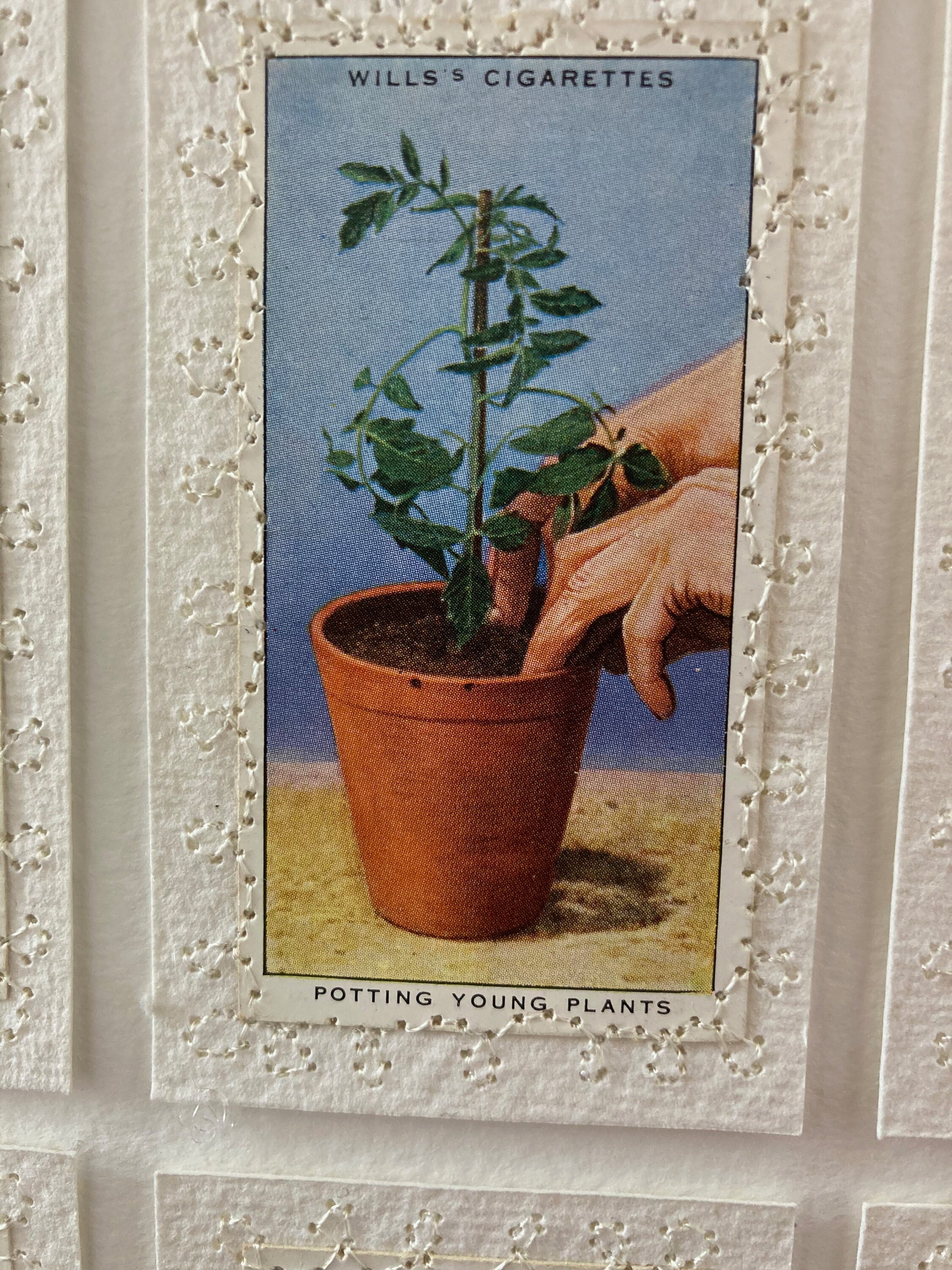Garden Hints Series - Original Vintage Will's Cigarette Cards Collaged ...