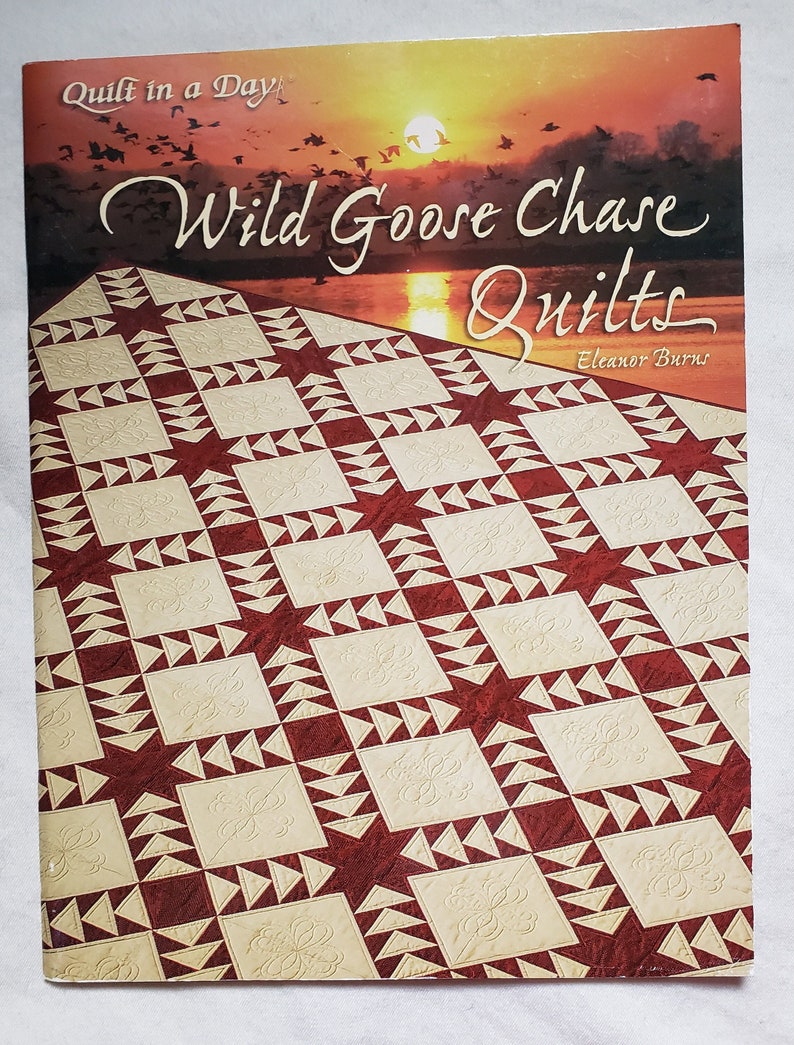Wild Goose Chase Quilts by Eleanor Burns Quilt in a Day Quilting ...
