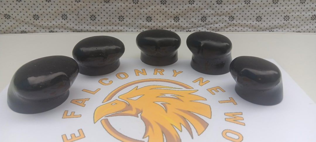 Falconry Hood Blocks Set Falcons (gyr - Saker & Peregrine Falcon) - Etsy