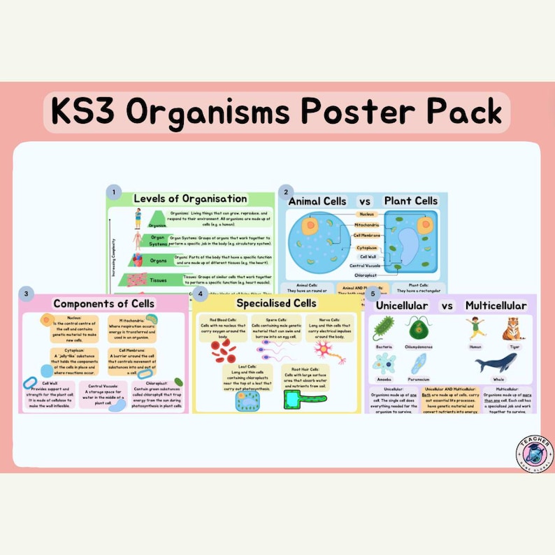 KS3 Organisms Science Poster Pack - Levels of Organisation, Animal/plant Cells, Components of ...