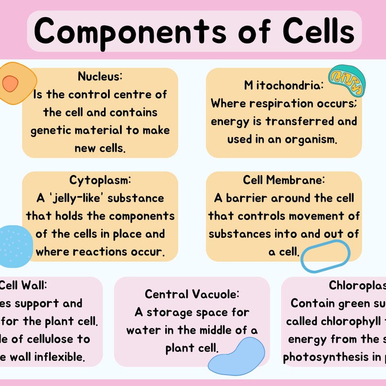 KS3 Organisms Science Poster Pack - Levels of Organisation, Animal ...