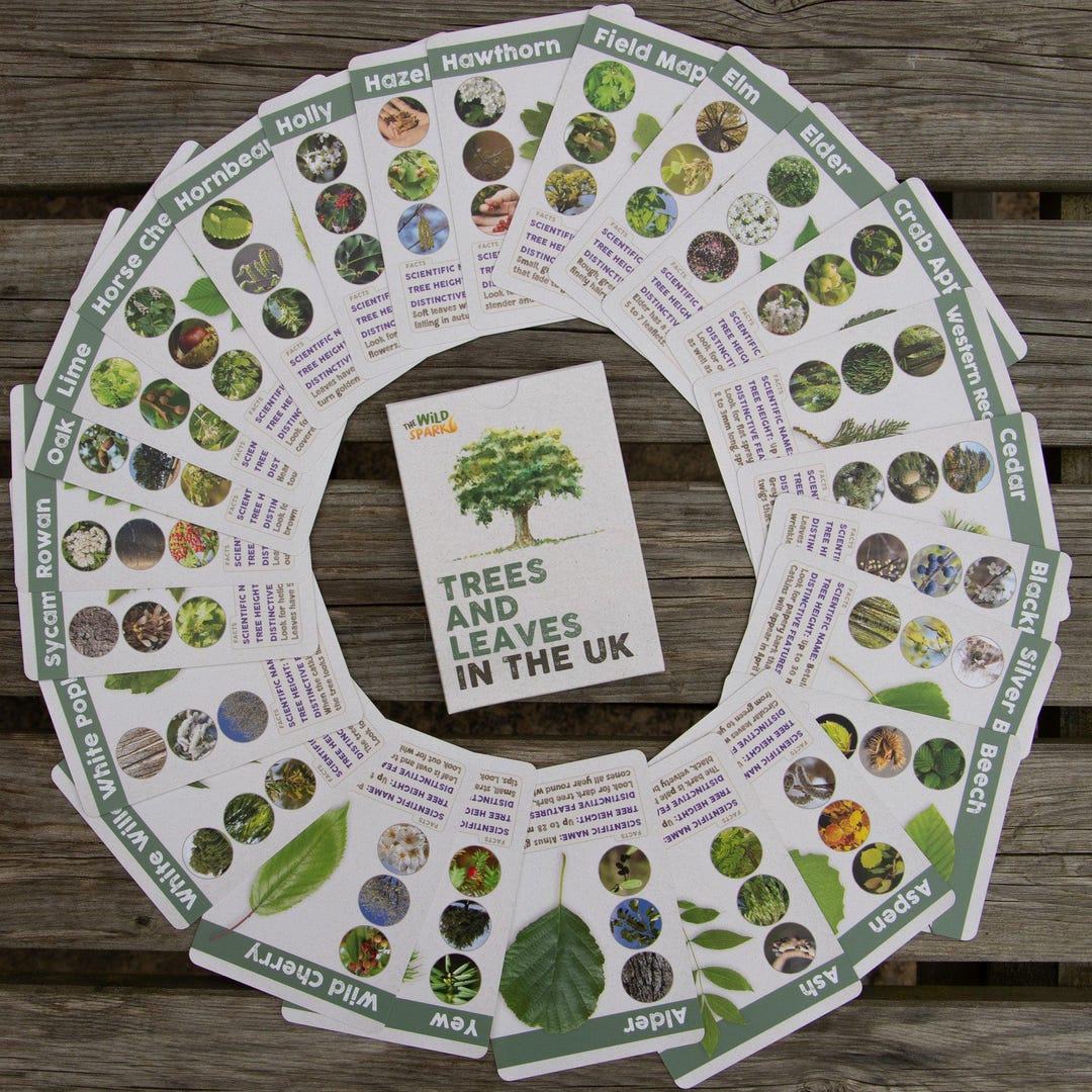 Trees and Leaves in the UK - ID Cards - Etsy