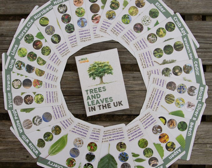 Trees and Leaves in the UK - ID Cards - Etsy