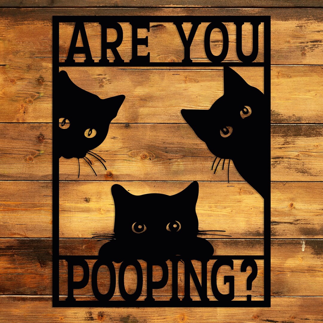 Funny Cat Are You Pooping Metal Wall Art, Metal Funny Sign Gift ...
