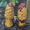 Tall Mushroom | Chainsaw Carved | Wood Carving - Etsy