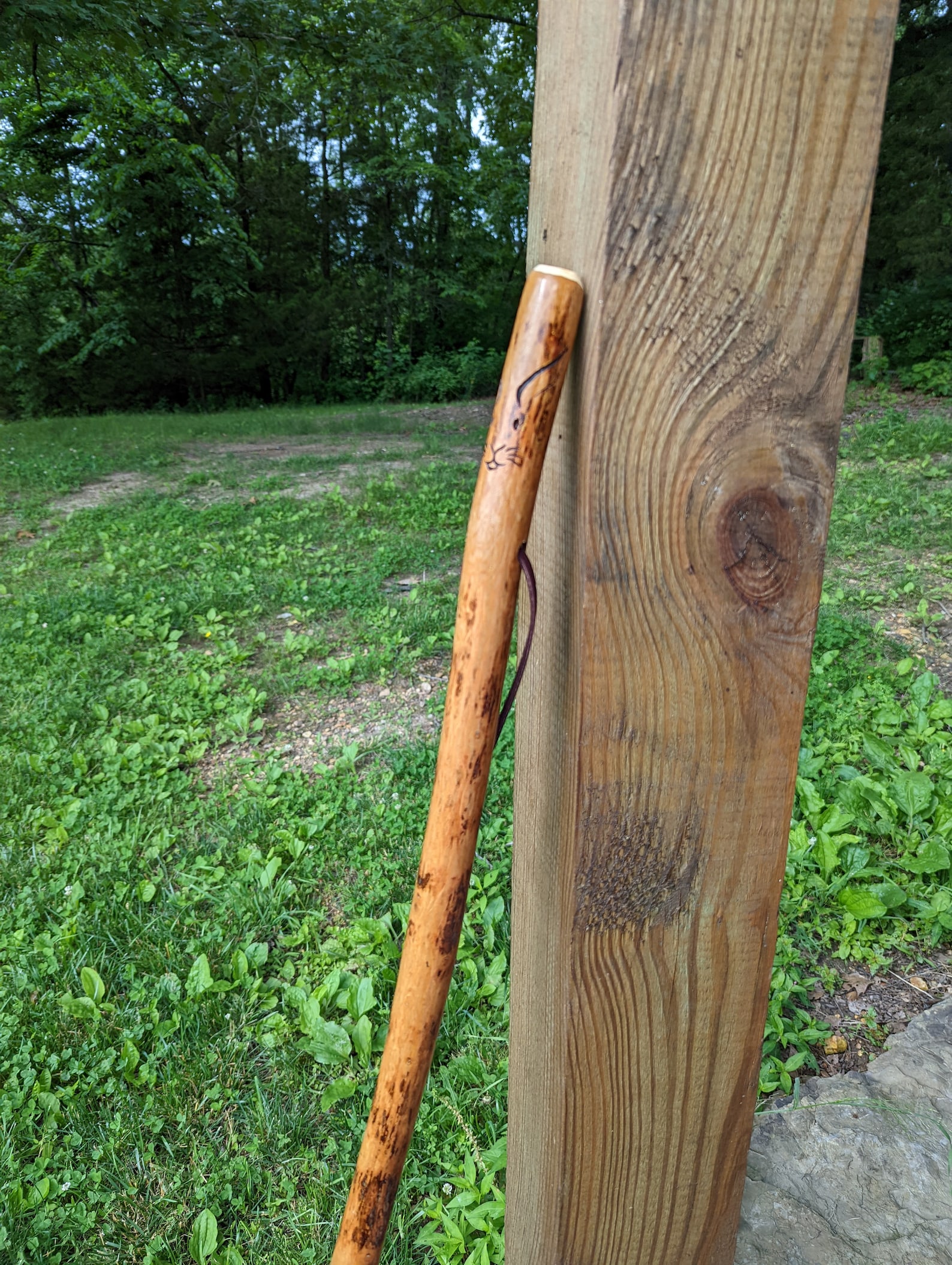 Carving of Rabbit on Walking Stick 2D Rabbit Walking Stick - Etsy