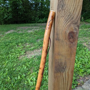Carving of Rabbit on Walking Stick, 2D Rabbit Walking Stick Carving on ...