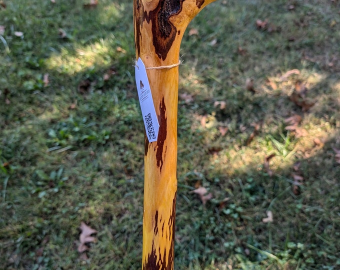 Yellow Root Cane in Hawthorne Wood - Etsy