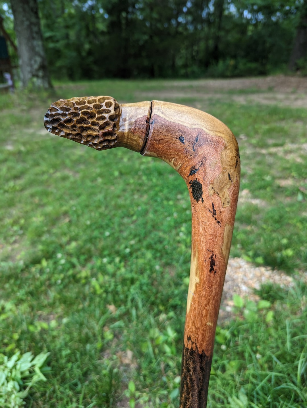 Walking Cane - Carved Morel Mushroom Root Cane, Strong , Natural Cane ...