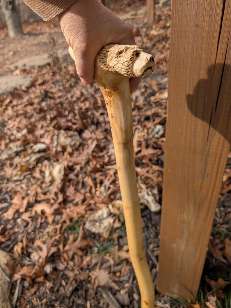 Hand Carved Grizzly Bear Walking Cane - T Handle Carving - Etsy