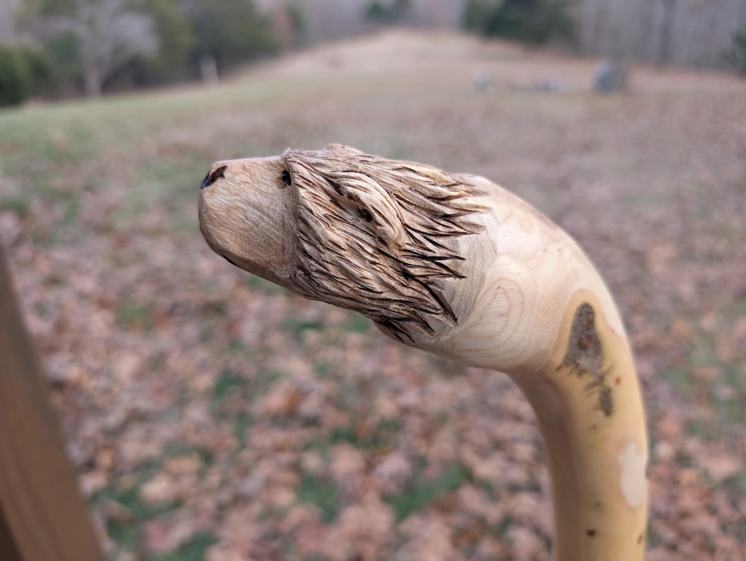 Hand Carved Bear Walking Cane: Sturdy Root Wood Cane, 38" - Etsy