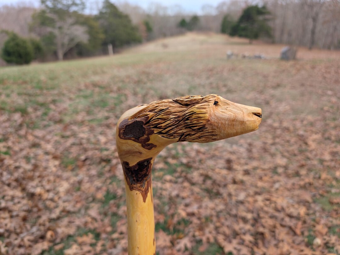 Tall Wood Cane With Wolf Carving Root Cane 36 Tall Carved in Yellow ...
