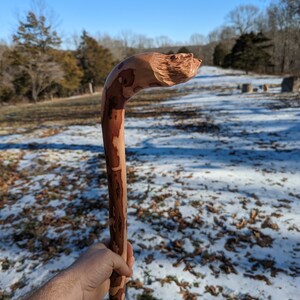 Walking Cane Carved Grizzly Bear Cane Hand Carved Walking - Etsy