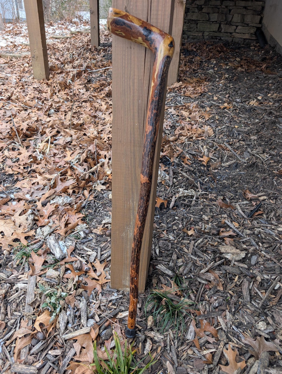 Plain Walking Cane, Natural Root Cane in Persimmon, 37" Tall - Etsy