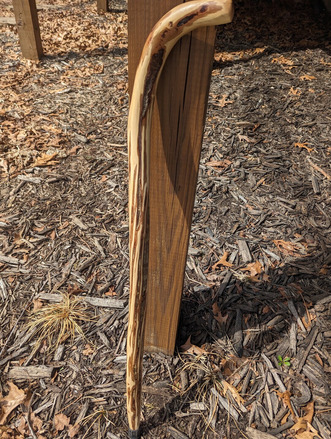 Natural Walking Cane, Root-cane, Ironwood Stick, Root Cane, up to 36 ...