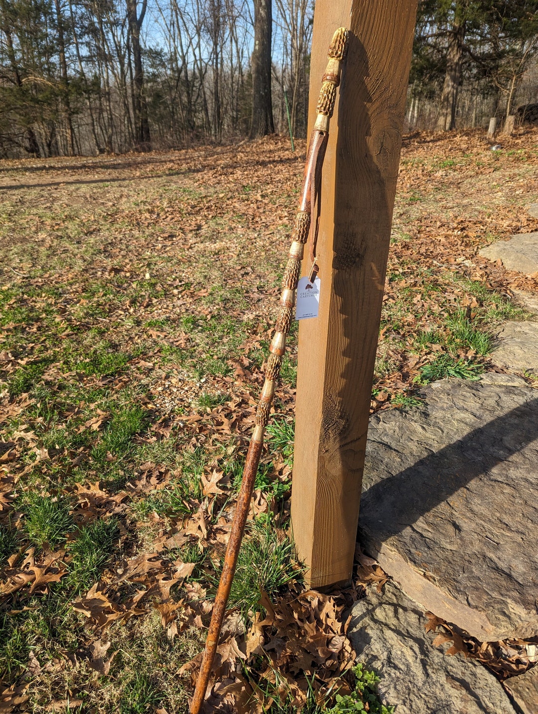 Ultimate Morel Mushroom Hunting Stick With Seven Morel Mushroom ...