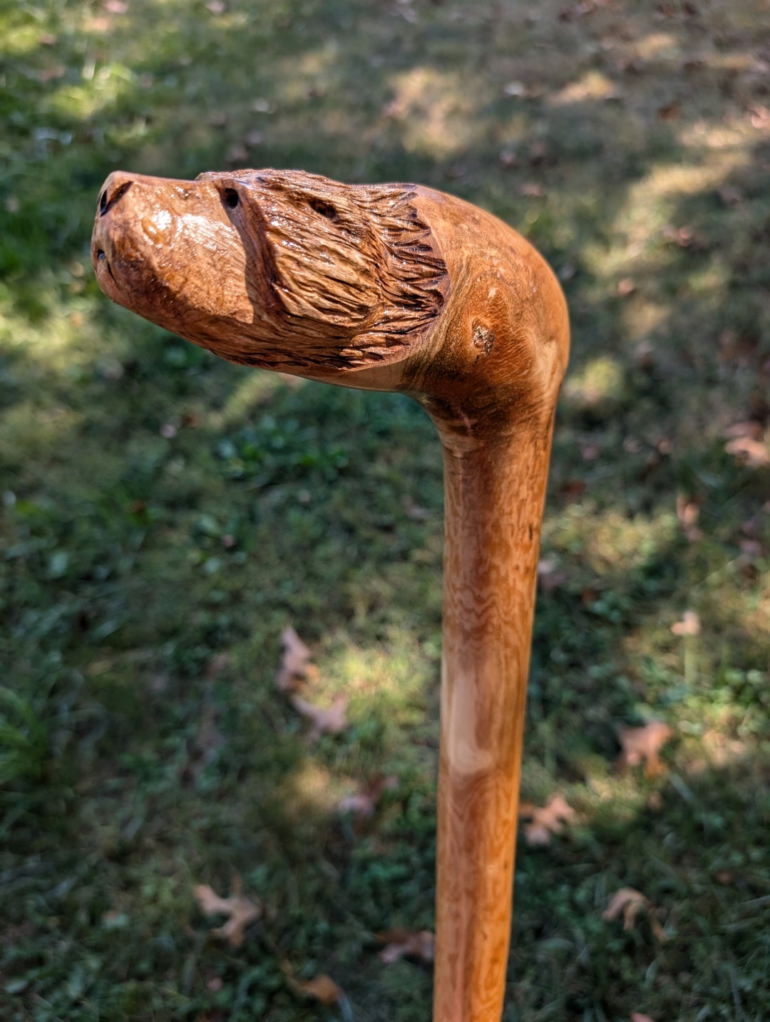 Solid Ash Walking Cane Made From the Root of an Ash Tree With a Bear ...