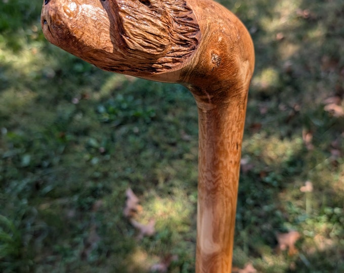 Solid Ash Walking Cane Made From the Root of an Ash Tree With a Bear ...