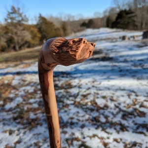 Walking Cane Carved Grizzly Bear Cane Hand Carved Walking - Etsy