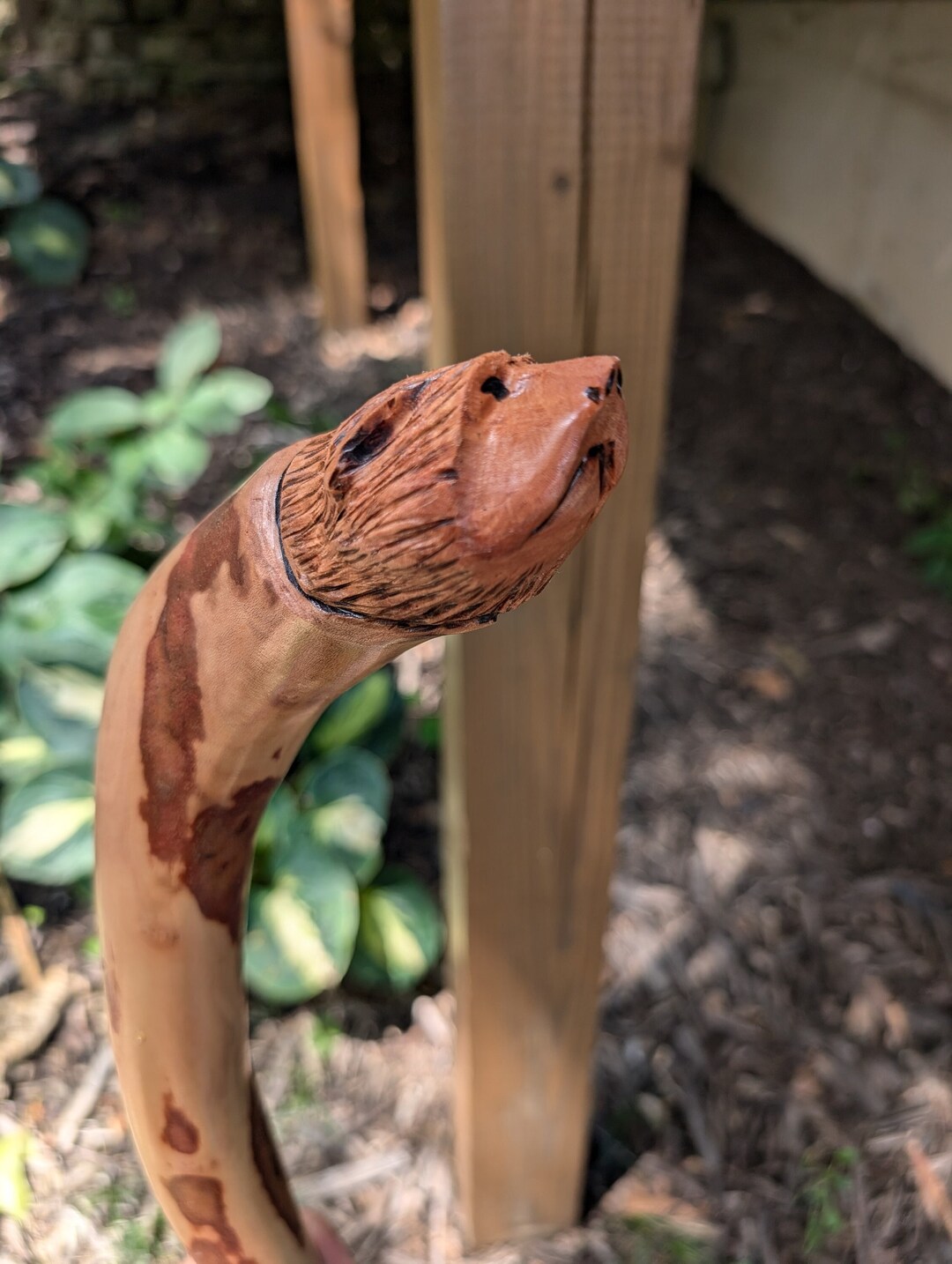 Walking Cane - Carved Grizzly Bear Cane - Hand Carved Walking Cane ...
