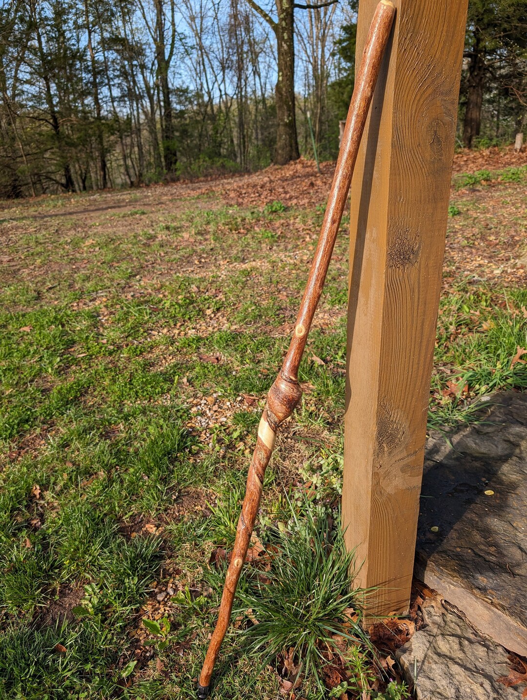 Vine Choked Walking Stick With Root Ball, Strong Wizard Staff Oak ...