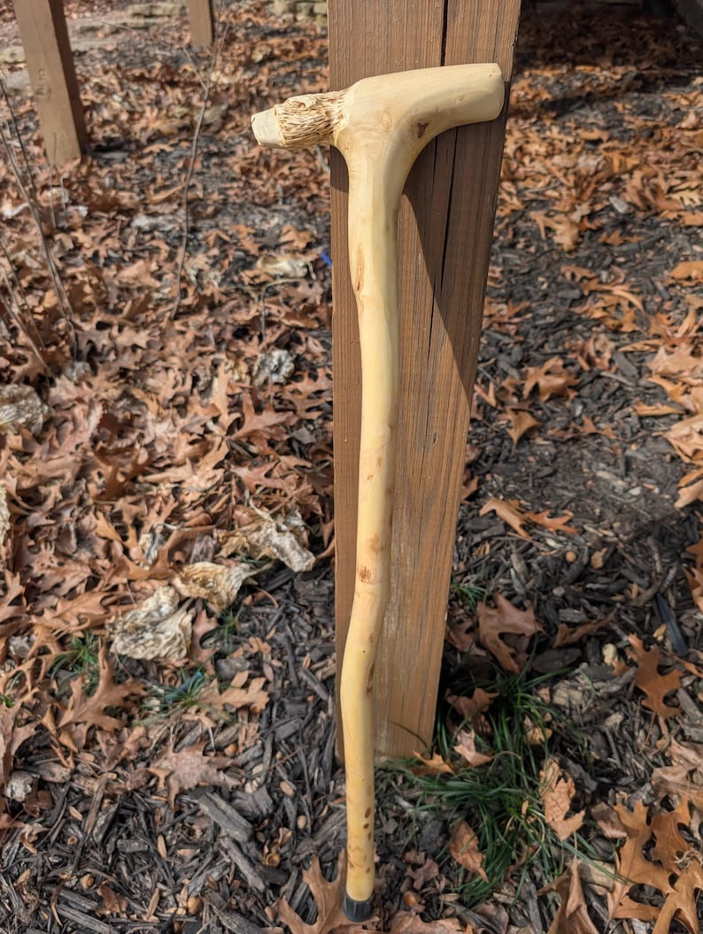 Hand Carved Grizzly Bear Walking Cane - T Handle Carving - Etsy