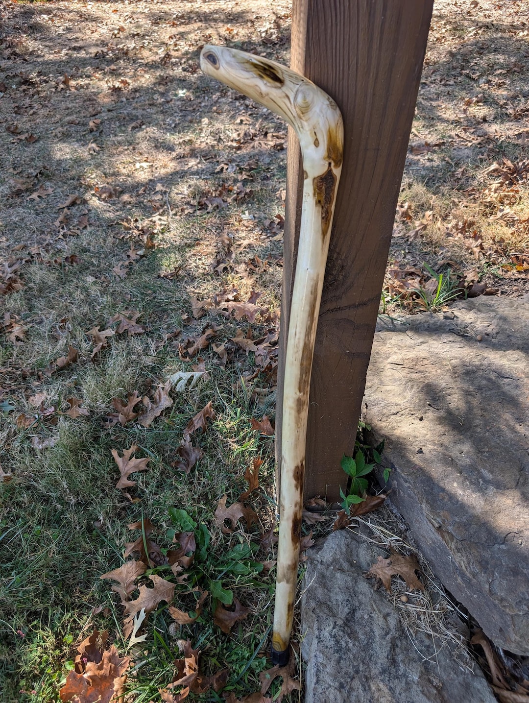 Plain Wood Walking Cane, Natural Root Cane in Sumac 38" - Etsy