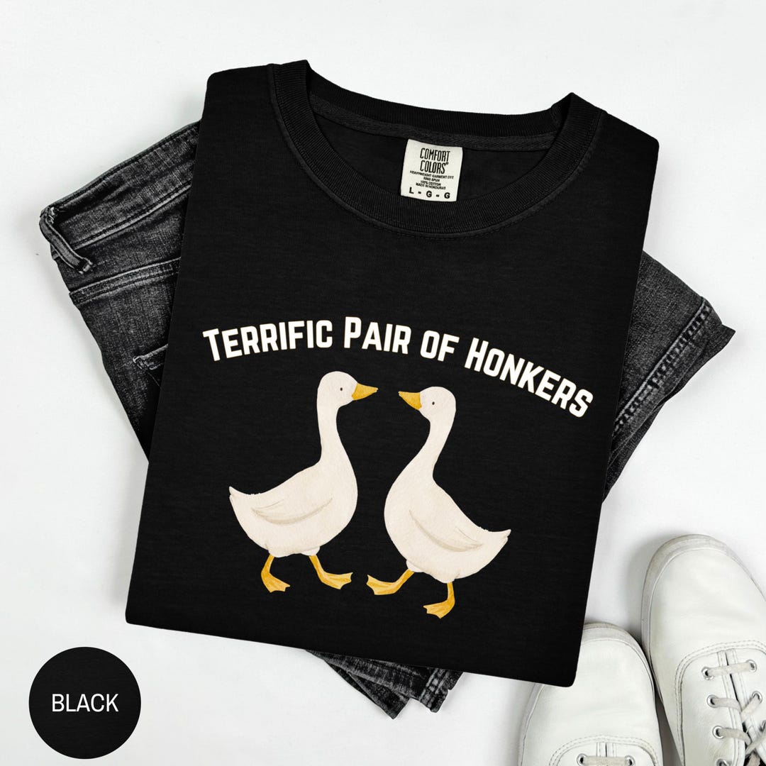 Terrific Pair of Honkers Two Silly Geese T-shirt - Etsy