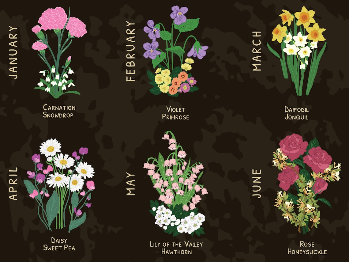 Personalized Birth Month Flower Art Print | Custom Name + Botanical ...