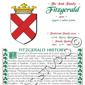 Fitzgerald Irish Family History - Etsy