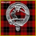 Wallace Clan Crest Scottish Cap Badge CB02 | Etsy
