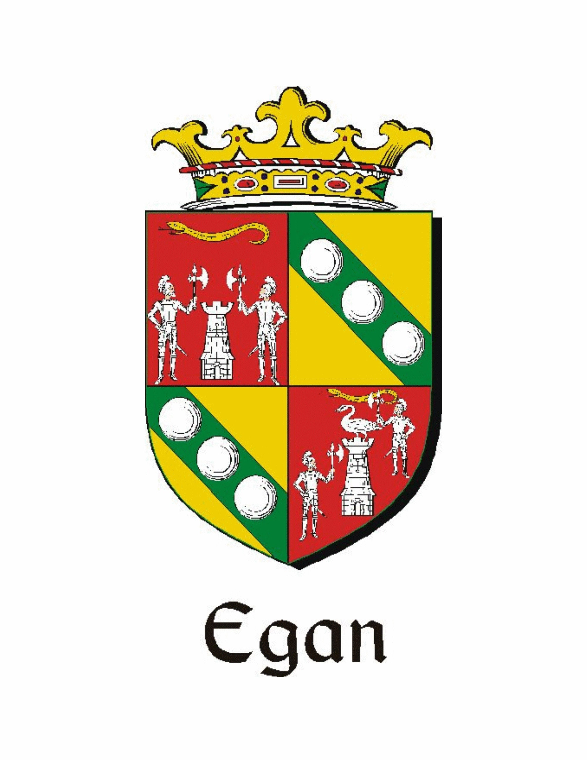 Egan Irish Coat of Arms Badge Stainless Steel Tankard - Etsy UK