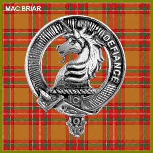 Macbriar Clan Crest Scottish Cap Badge CB02 - Etsy