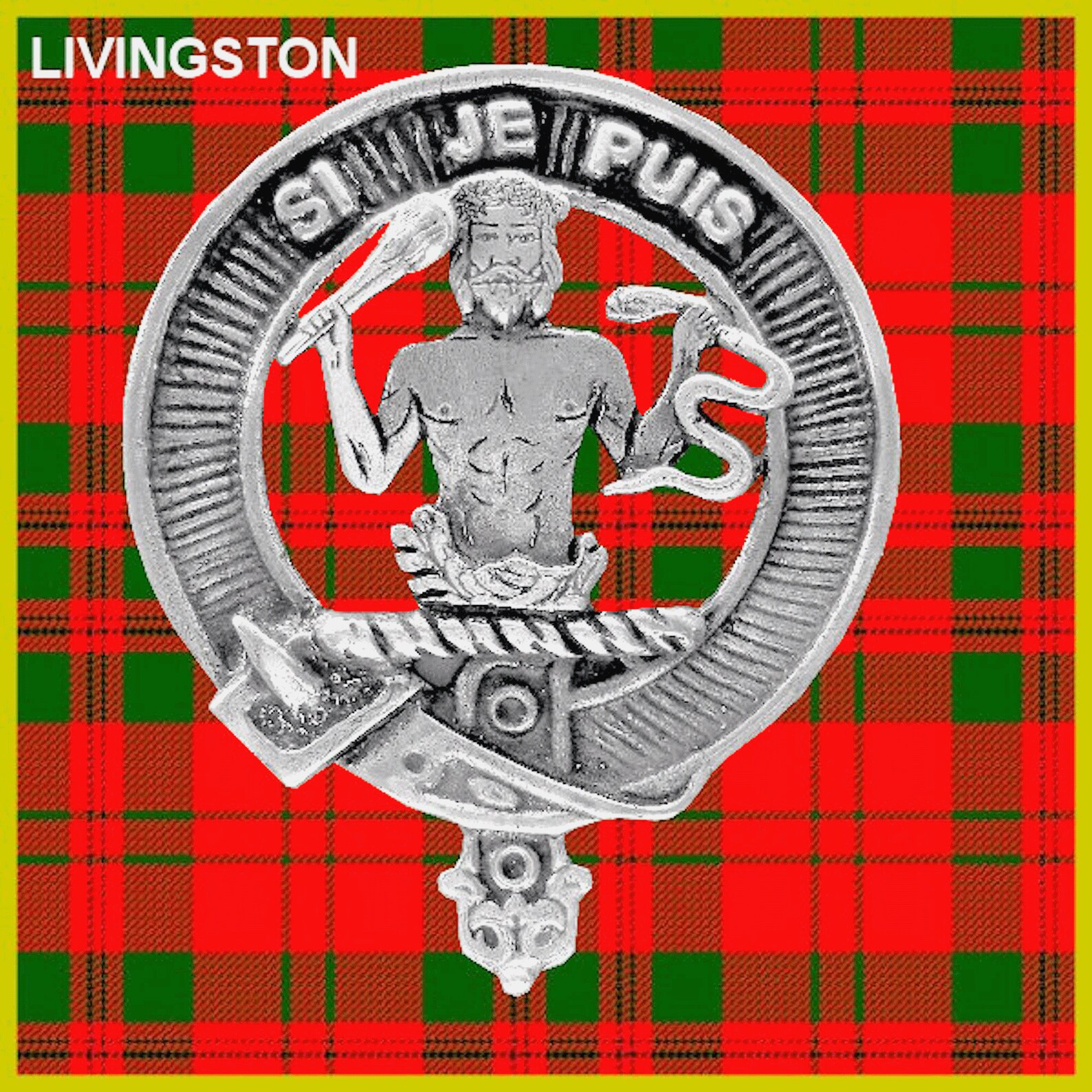 Livingston Clan Badge Scottish Plaid Brooch | Etsy
