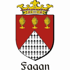 Fagan Irish Coat of Arms Gents Ring IC100 - Etsy Canada